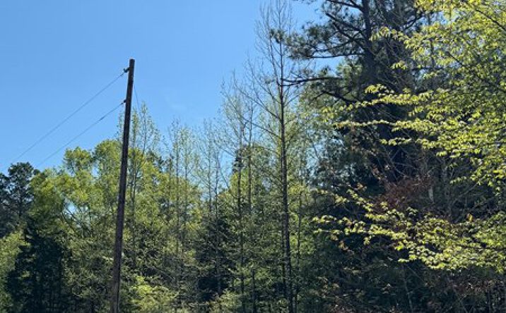 Co Rd 77, Kiblah, AR 71834 | Crexi.com