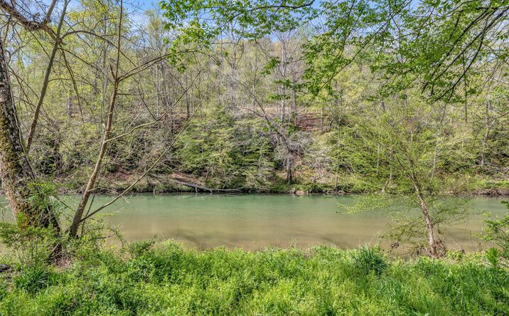 Lot 13 Texas Bottom Lane, Hohenwald, TN 38462 | Crexi.com