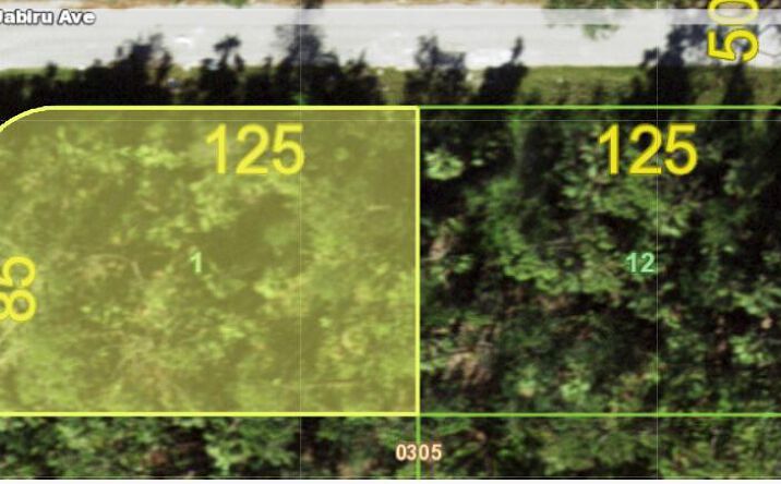 18075 Jabiru Avenue, Port Charlotte, FL 33948 | Crexi.com