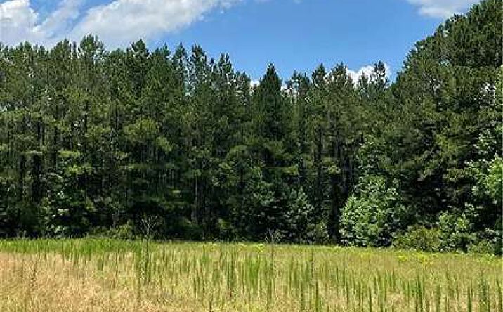 Rahn Station Rd, Rincon, GA 31326 | Crexi.com
