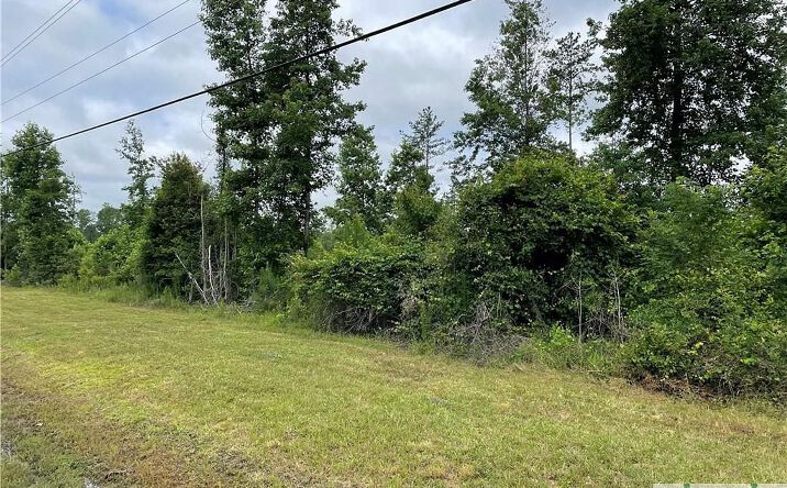 793 COURTHOUSE RD Springfield GA 31329 | Crexi.com