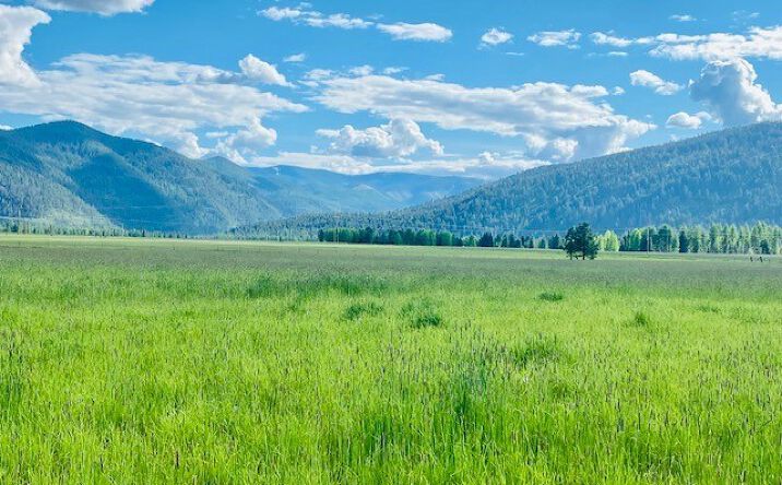 10 Cabinet View Lot 5, Trout Creek, MT 59874 | Crexi.com