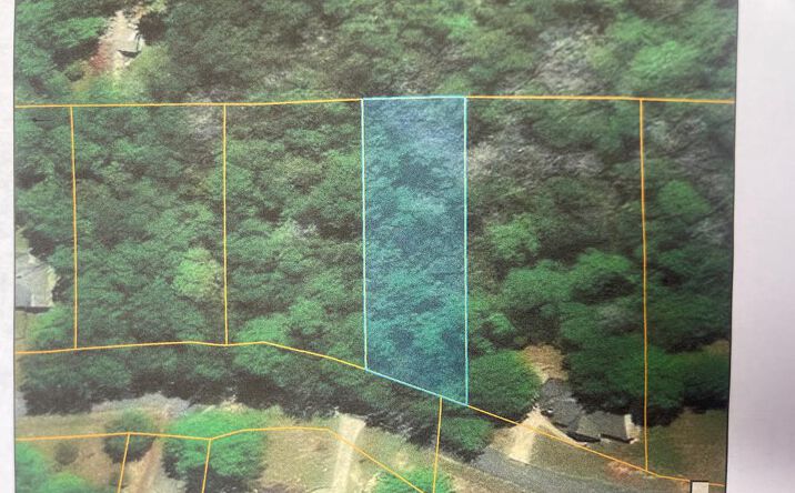 0 Stone Hollow Trace, Carriere, MS 39426 | Crexi.com