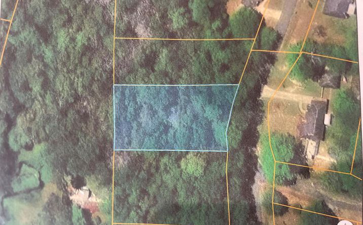 0 Stone Hollow Trace, Carriere, MS 39426 | Crexi.com