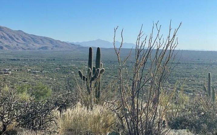 3176 Placita De Los Andes, Tucson, AZ 85749 | Crexi.com