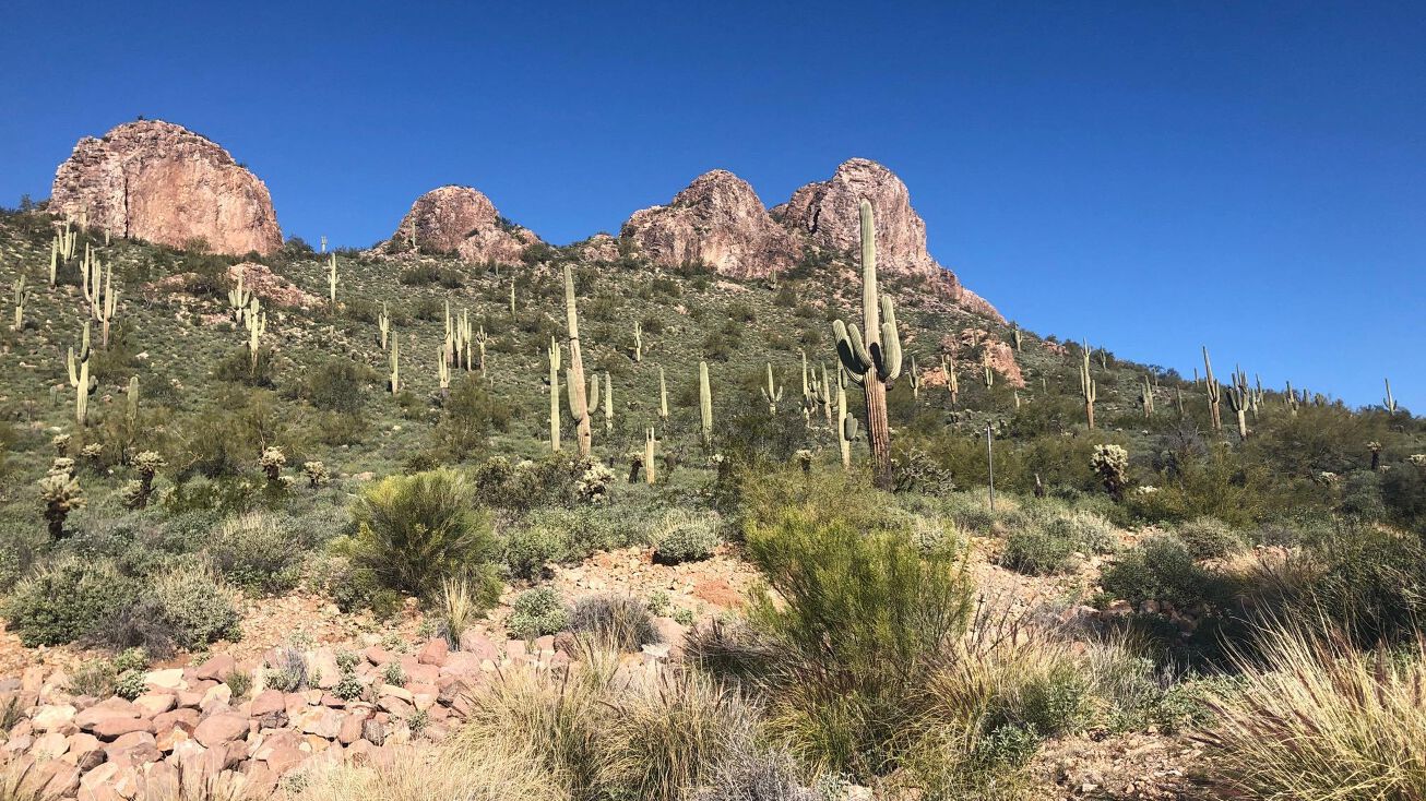 9756 E Dead Sure Pl, Gold Canyon, AZ 85118 | Crexi.com