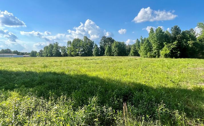 TBD JUNE BURN RD Alcolu SC 29001 | Crexi.com