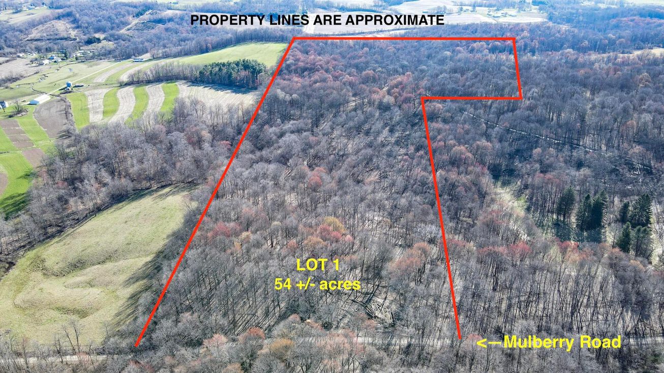 Lot 1 Mulberry Road, Mount Perry, OH 43760 | Crexi.com