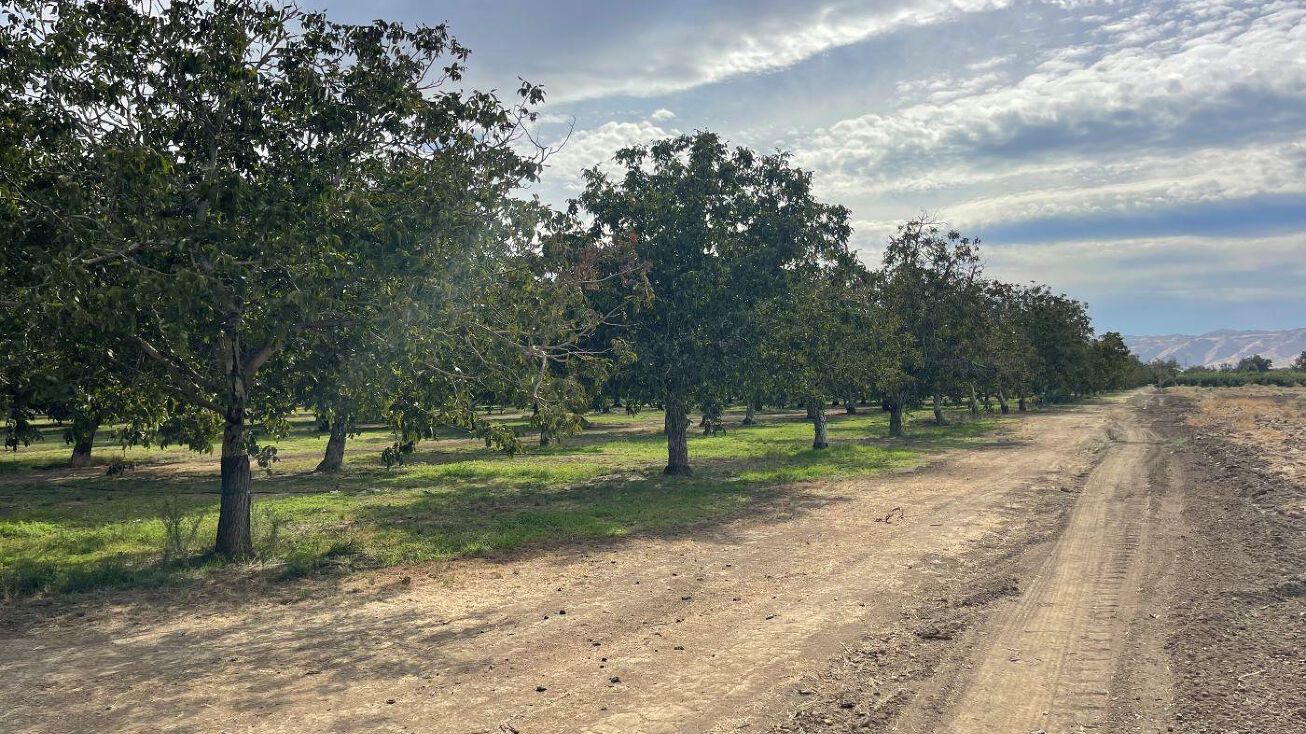 9211 Boyce Rd, Winters, CA 95694 | Crexi.com