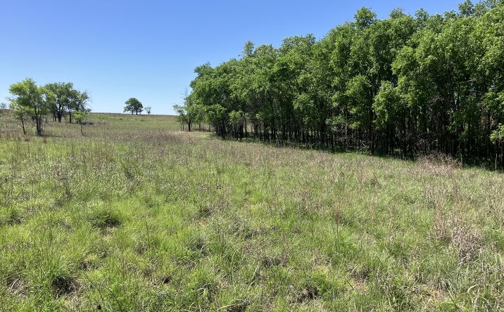 5925 Co Rd 140, Shamrock, TX 79079 | Crexi.com