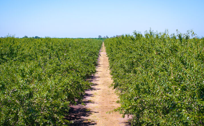 0 S Quinley Rd, Merced, CA 95340 | Crexi.com