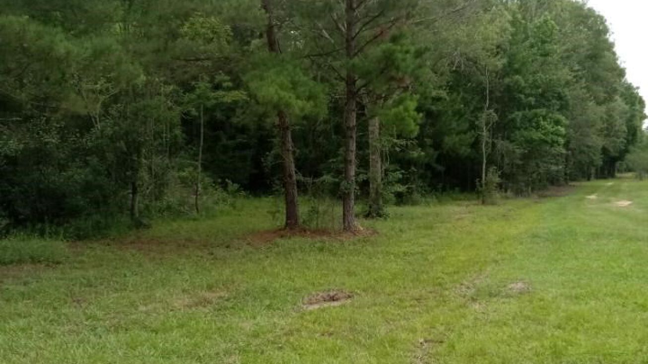 NHN Compton Ranch Rd, Poplarville, MS 39470 | Crexi.com
