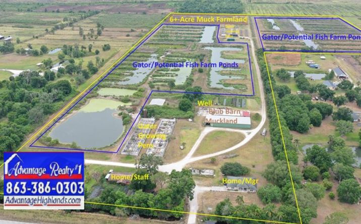 Business and Building for Sale in Lake Placid, FL | Crexi