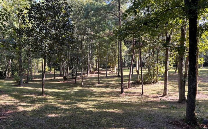 1160 stagecoach rd, pelham, GA 31779 | Crexi.com