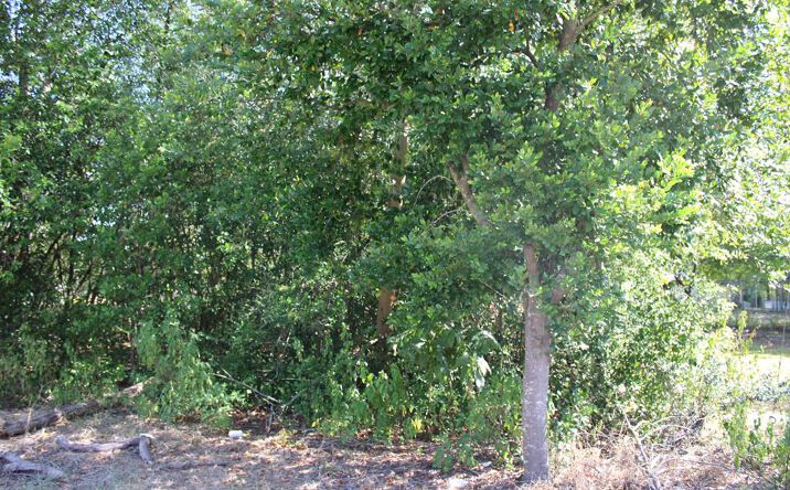 316 5th Ave. NW, Moultrie, GA 31768 | Crexi.com