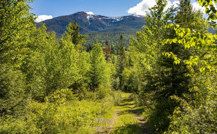 NHN Orvis Evans Drive, Bigfork, MT 59911 | Crexi.com