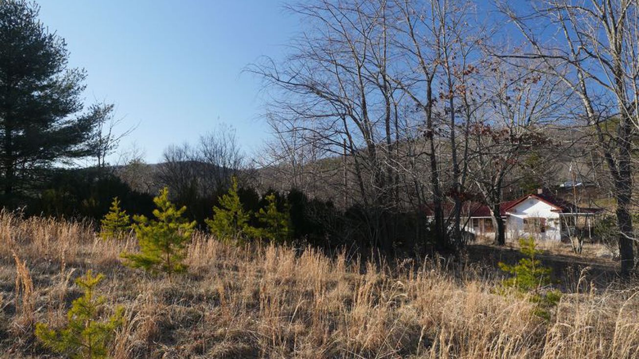 6687 Lizard Ridge Ln, Parrott, VA 24132 | Crexi.com