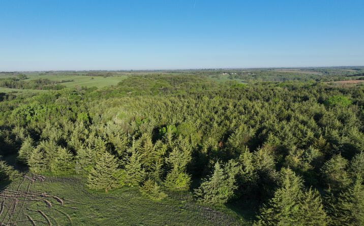 Quail Avenue, Arispe, IA 50831 | Crexi.com