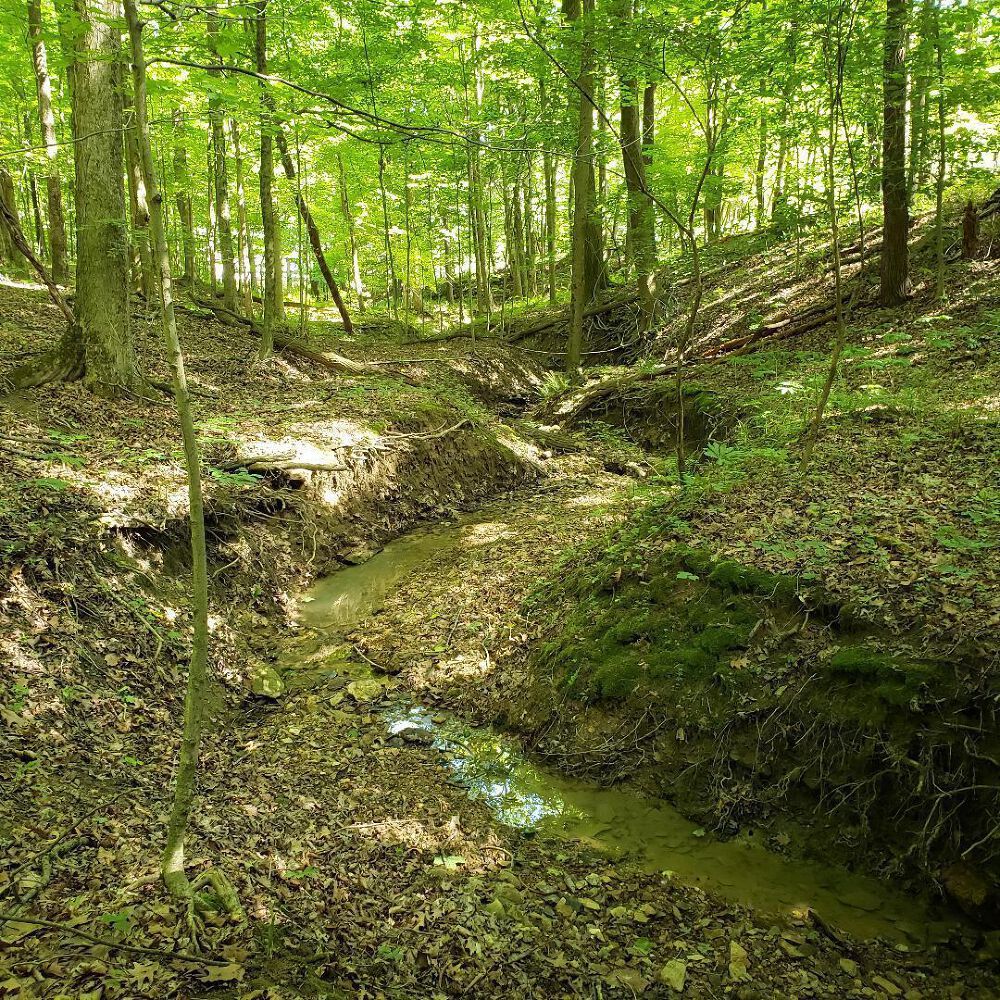 9075 Mulberry Road, Mount Perry, OH 43760 | Crexi.com