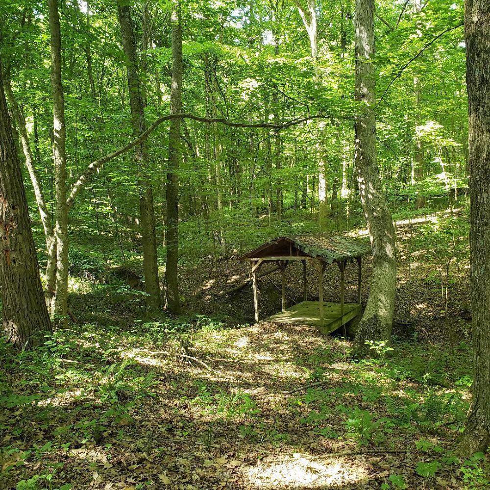 9075 Mulberry Road, Mount Perry, OH 43760 | Crexi.com