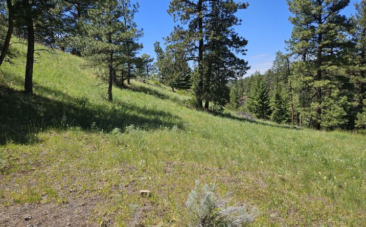 TBD Powerline Road, Cascade, MT 59421 | Crexi.com