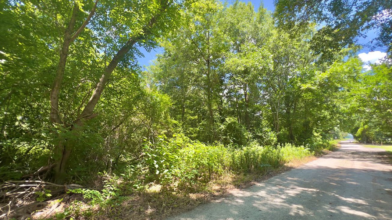 0 Rich Meadows Circle, Bishopville, SC 29010 | Crexi.com