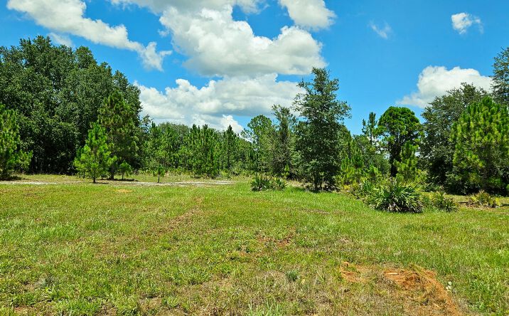 11550 STATE ROAD 60 E Lake Wales FL 33898-9758 APN: 29-30-16-992665 ...