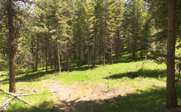 NHN Houle Creek Road, Frenchtown, MT 59834 | Crexi.com