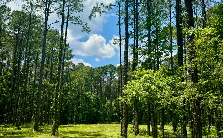 Meadville, MS Commercial Real Estate for Sale | Crexi.com