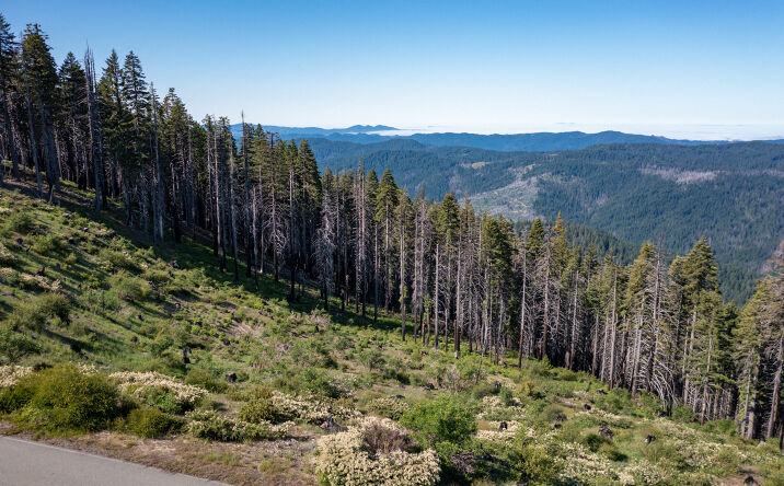 0 Dan East Trail, Dinsmore, CA 95526 | Crexi.com
