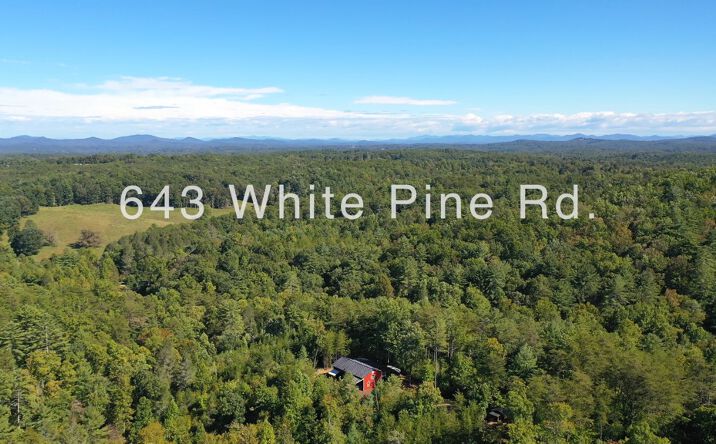 643 White Pine Rd, Mc Caysville, GA 30555, McCaysville, US 30555 ...