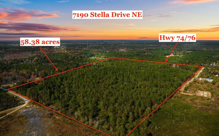 7190 Stella Drive NE, Leland, NC 28451 | Crexi.com