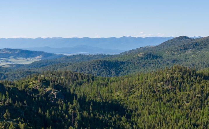 NHN Springhill Rd, Kila, MT 59920 | Crexi.com