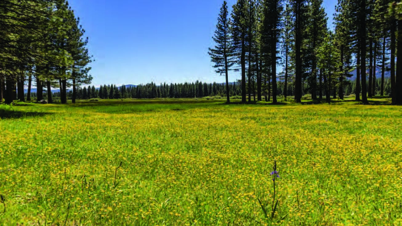 300 Meadow Ranch Rd, Calpine, CA 96124 | Crexi.com