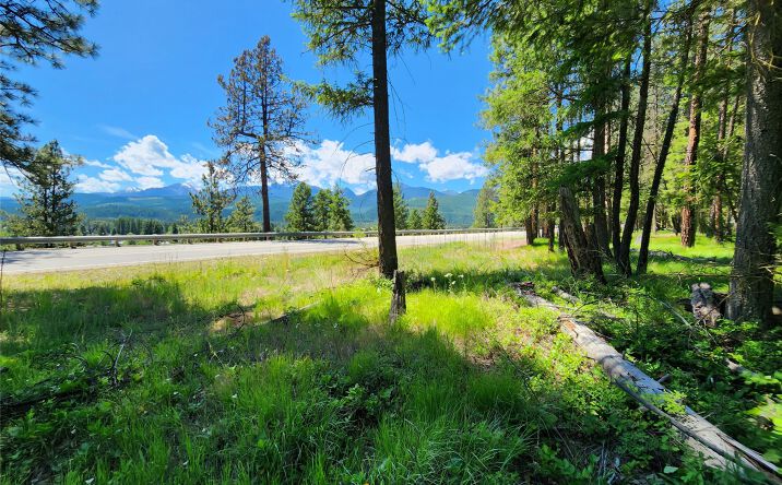 KNA Ramona Drive, Libby, MT 59923 | Crexi.com