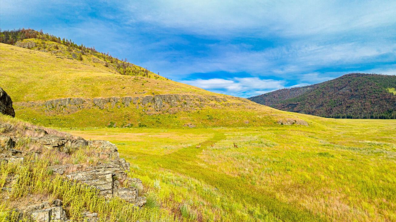 NHN Hwy 28 160 acres, Niarada, MT 59845 | Crexi.com