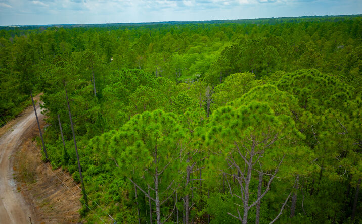 14 Eastgate Dr, Brunswick, GA 31525 | Crexi.com