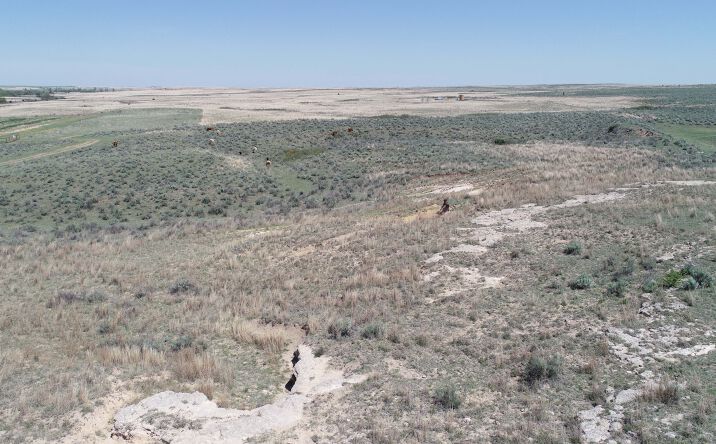 Native and Improved Grassland, Higgins, TX 79046 | Crexi.com