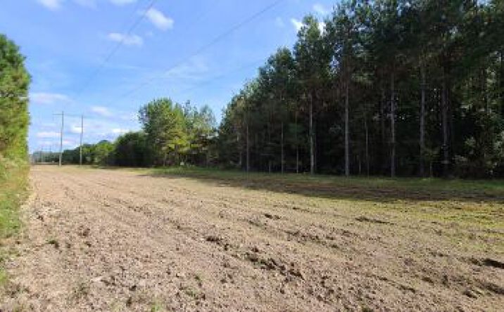 Wire Rd 1, Cuba, AL 36907 | Crexi.com