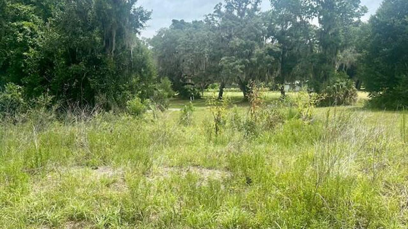 161 live oak Circle, Crescent City, FL 32112 | Crexi.com