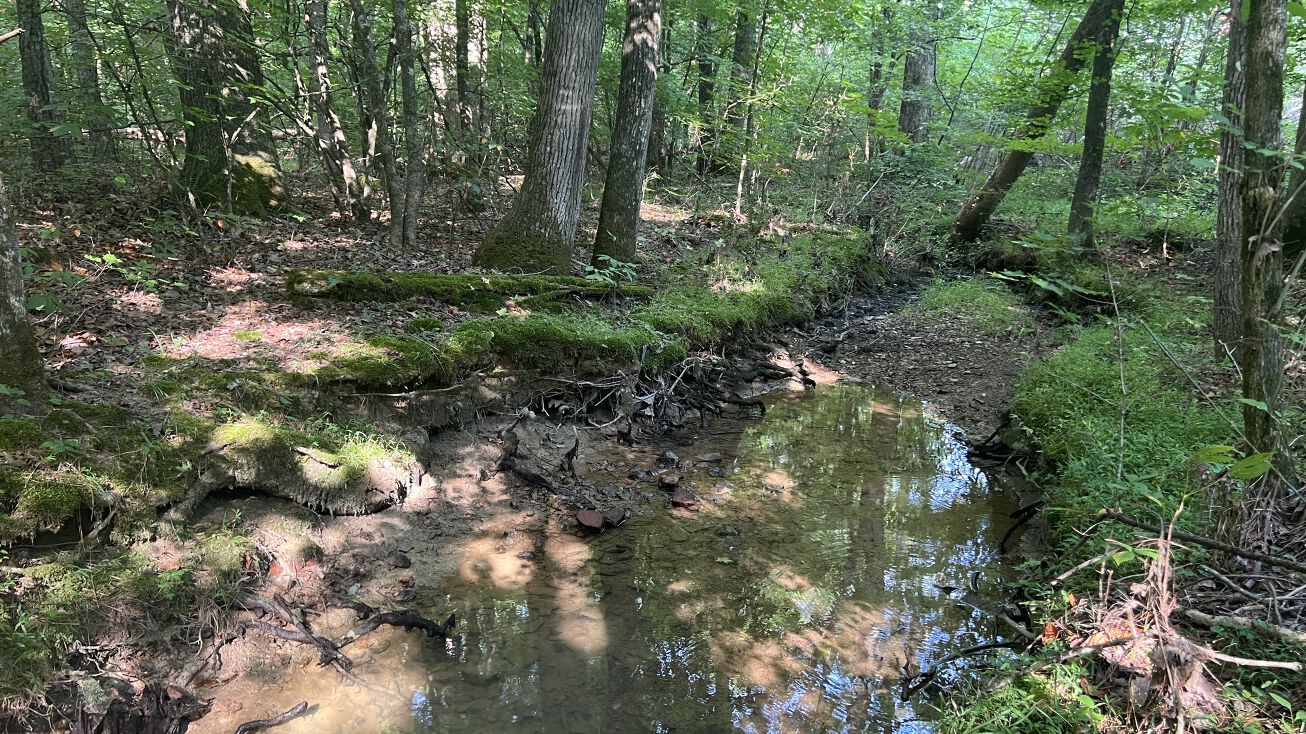 Nicklesville Rd NE, Ranger, GA 30734 | Crexi.com