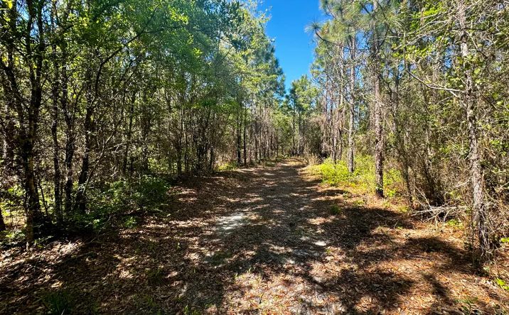 SW 1 FEDERAL RD Greenville FL 32331 APN: 361S060146001000 | Crexi.com