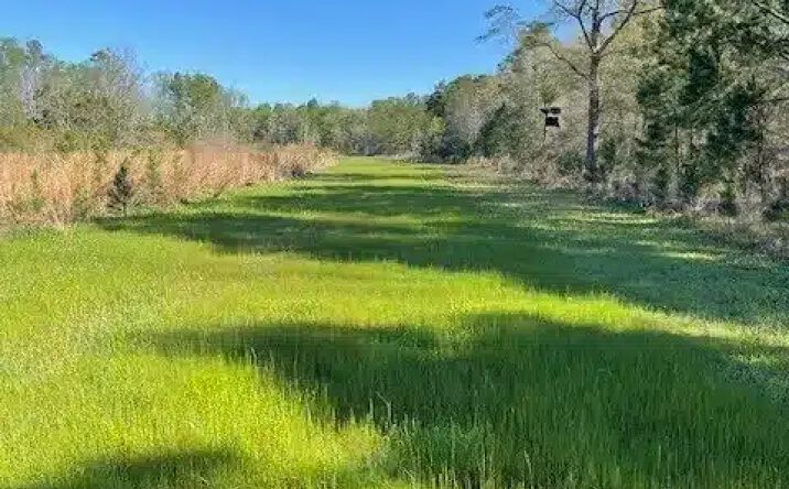 Landing Road North Tract, Oliver, GA 30449 | Crexi.com