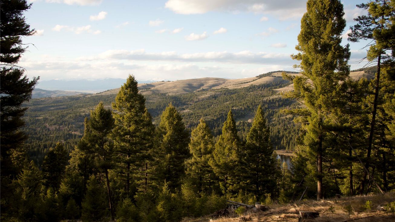 NHN Lot 86 Chimney Lakes Road, Helmville, MT 59843 | Crexi.com