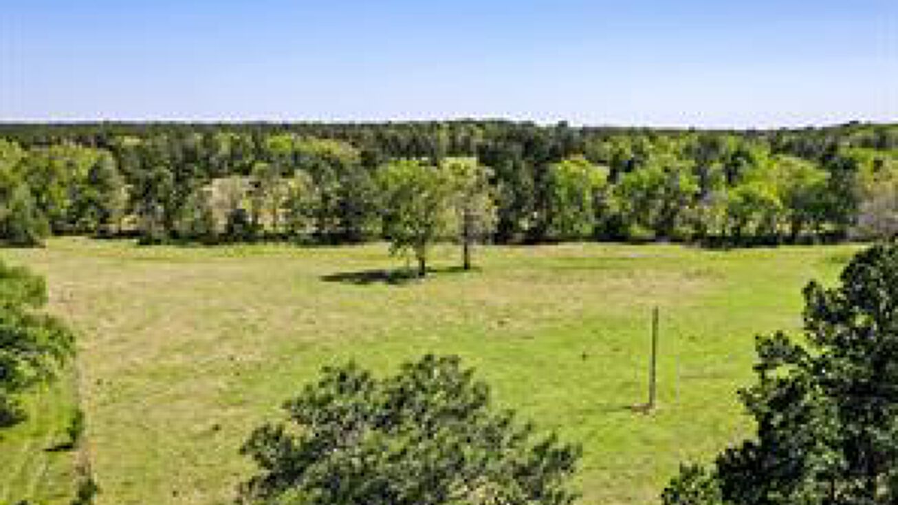 11 Acres Black Jack Rd, Huntsville, TX 77340 | Crexi.com