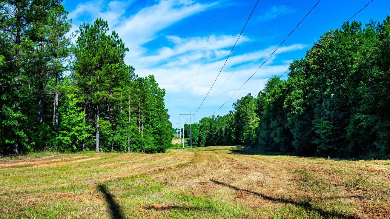 0 County Line Church Road, Warm Springs, GA 31830 | Crexi.com