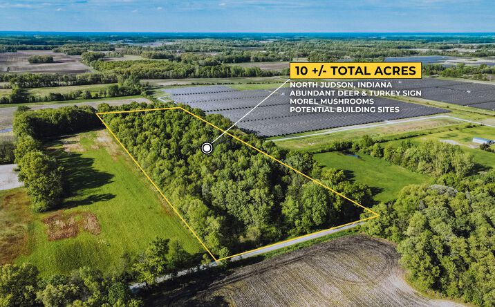 10 Acres Wooded Lot with Potential Build Sites, North Judson, IN 46366 ...