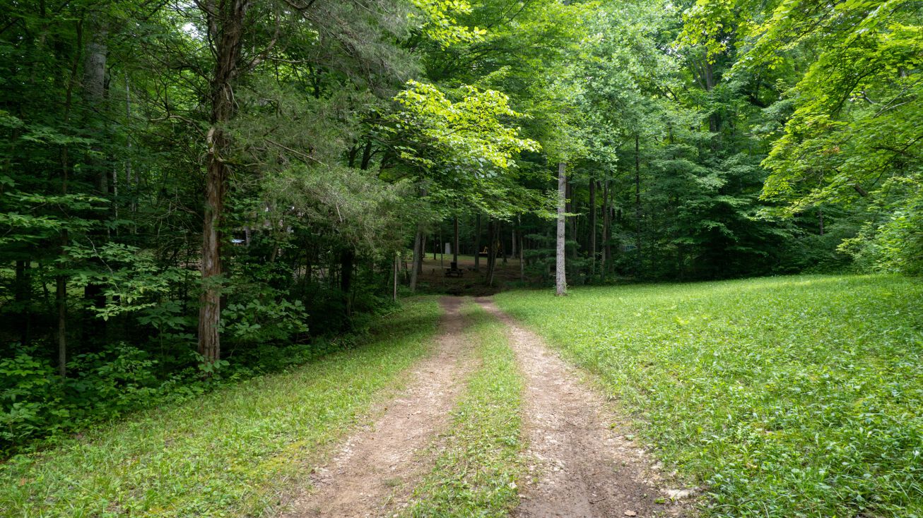 60+/-Acre Secluded Retreat: Prime Hunting & Recreation, Fort Ritner, IN ...