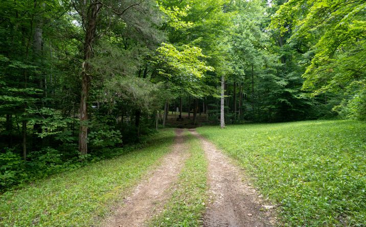 60+/-Acre Secluded Retreat: Prime Hunting & Recreation, Fort Ritner, IN ...