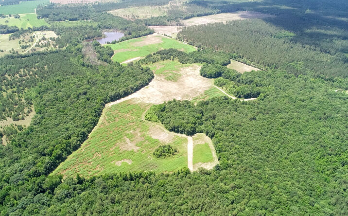 Shepard Road, Kite, GA 31049 | Crexi.com